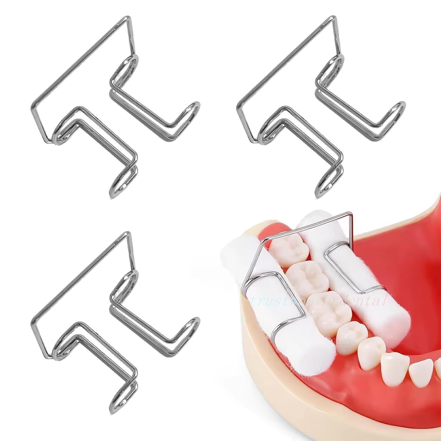 Dental Cotton Roller Clamp Stainless Steel Teeth Clip Surgical ...