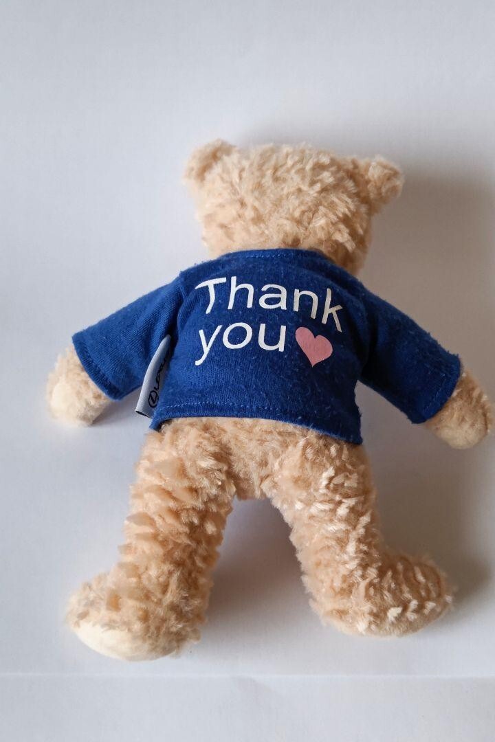 Lexus Teddy Bear Promotional item | eBay