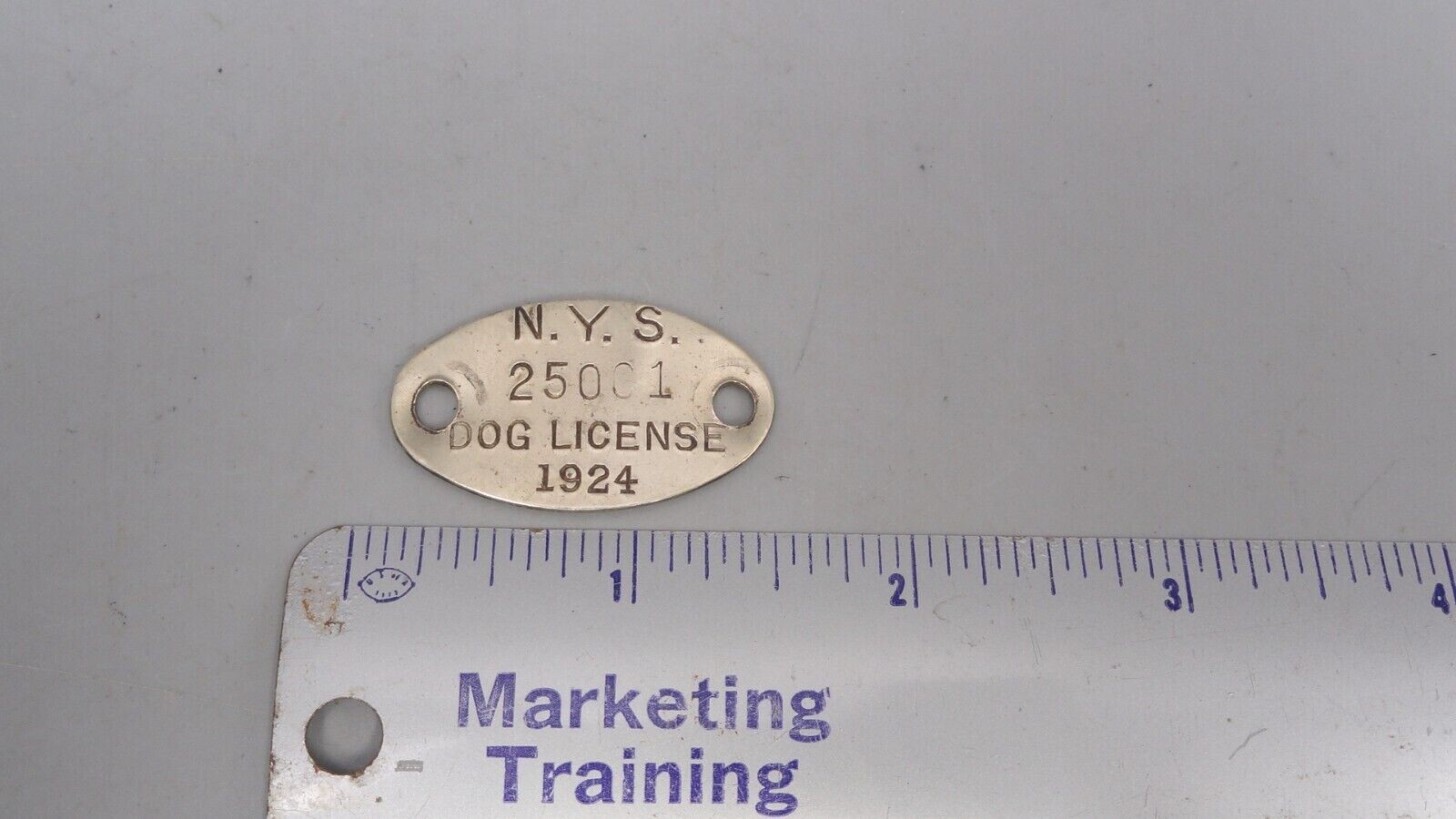 Vintage N.Y.S. New York State Dog License Tax Tag 1924 - #25001 | eBay