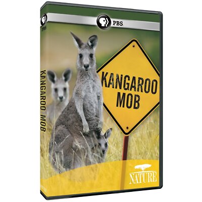Nature: Kangaroo Mob [DVD] [*READ* Disc-Only, EX-LIBRARY] 841887016308 ...