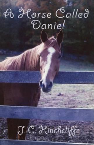 J C Hinchcliffe A Horse Called Daniel (Paperback)