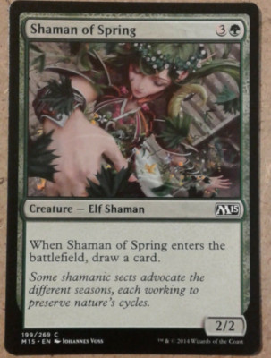 MTG Shaman of Spring - Creature (Magic the Gathering card) | eBay