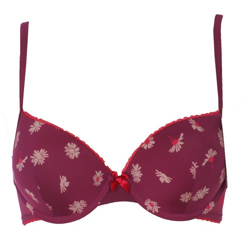 BeeDees BeeSweet IA 7160 WHP 70 - 90 Cup A - F Schalen BH Red-Light ...