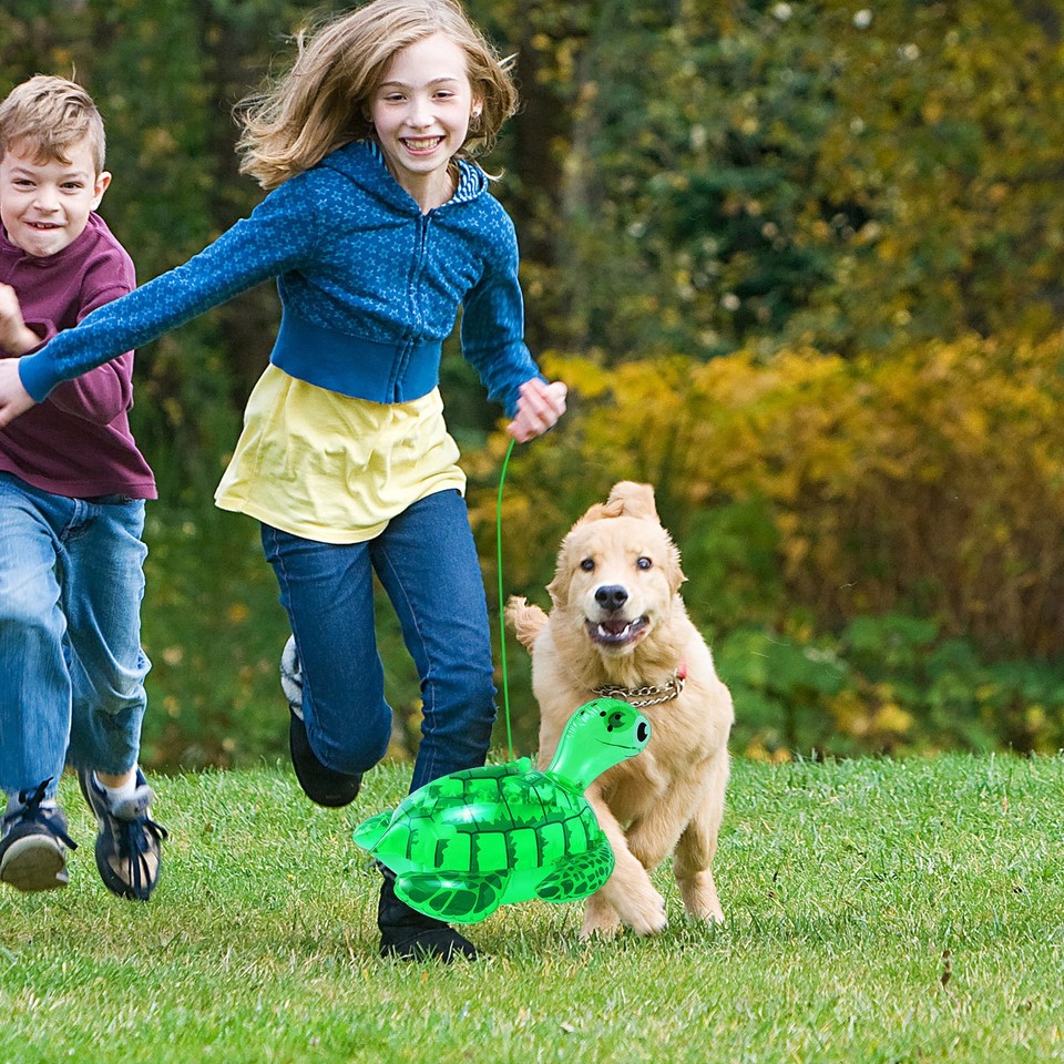 1x Luminous Inflatable Frog Turtle Toy Large Inflatable Frog Turtle ...