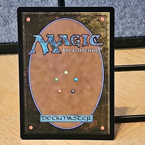 MTG Finneas, Ace Archer Bloomburrow Set #212 Regular Rare NM Fresh Pull ...