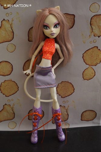 Monster High LEOPARD GIRL Outfit & Accessories - NO DOLL | eBay