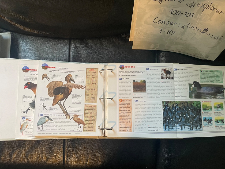 Wildlife Explorer Set of 4 Binders - Filled With 600 Animal Fact Cards ...