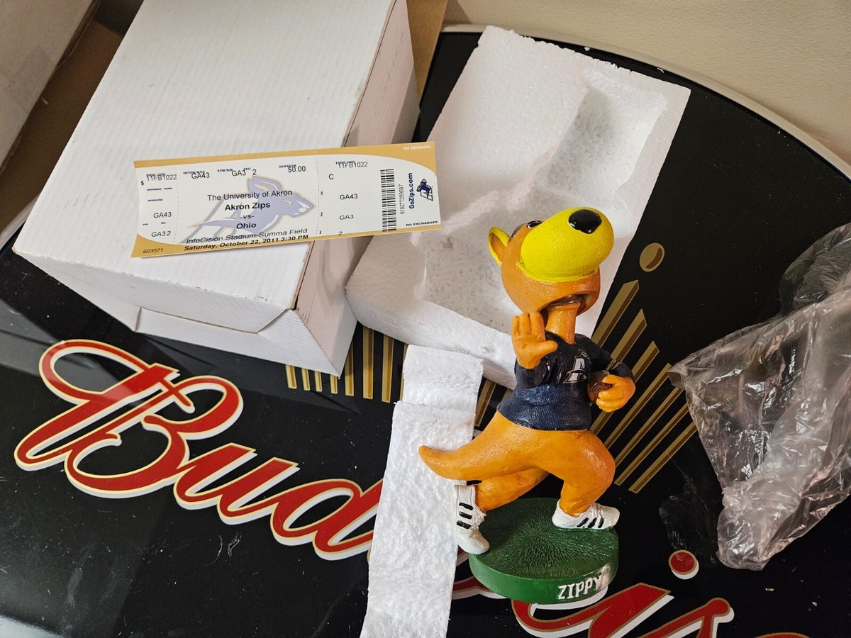 University Of Akron Mascot