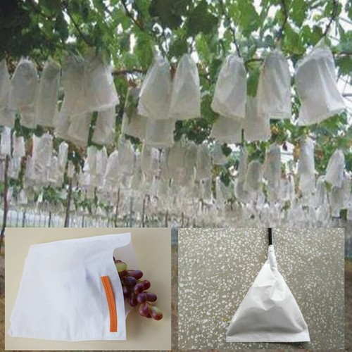 50 Pcs durable Fruit Net Bags Garden Insect Fruit Fly Netting Vegetable ...