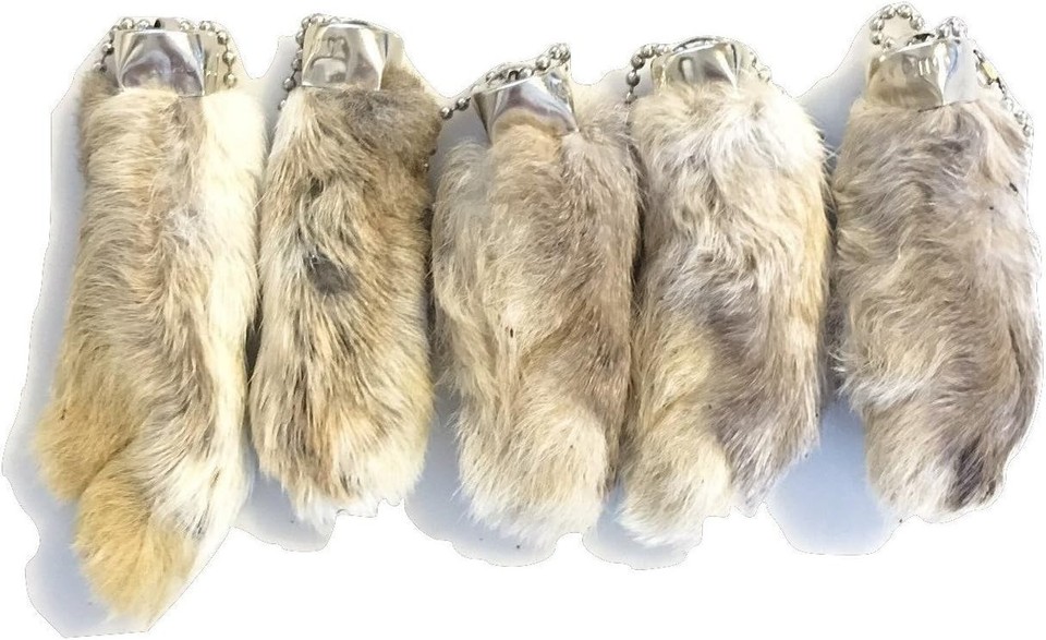 Set of 5 Genuine Rabbit Foot Keychains - Stylish Natural Fur Luck ...