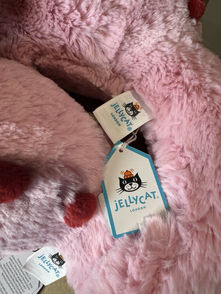 GENUINE Jellycat Heart Dragon Valentine Limited Edition New with Tags ...