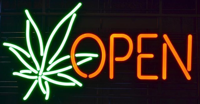 New Marijuana Open Leaf Weeds Neon Sign 20"x16" Bar Pub Light Lamp Real ...
