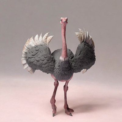 Ostrich scale model 3D Printed in Resin UNPAINTED Wild Animal Miniature ...