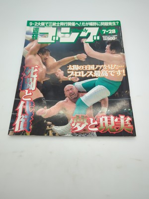 Weekly Pro Wrestling 1030 Japanese Magazine 7/28/2004 FMW WWF NJPW NWA ...