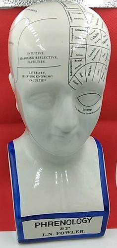 Phrenology Bust L.N. Fowler Scientific Psychology 12" Ceramic Head ...