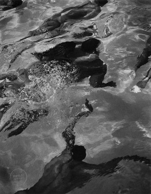 VTG Bruce Weber Print Swimmers Miami Beach Photogravure Art Photo 1986 ...