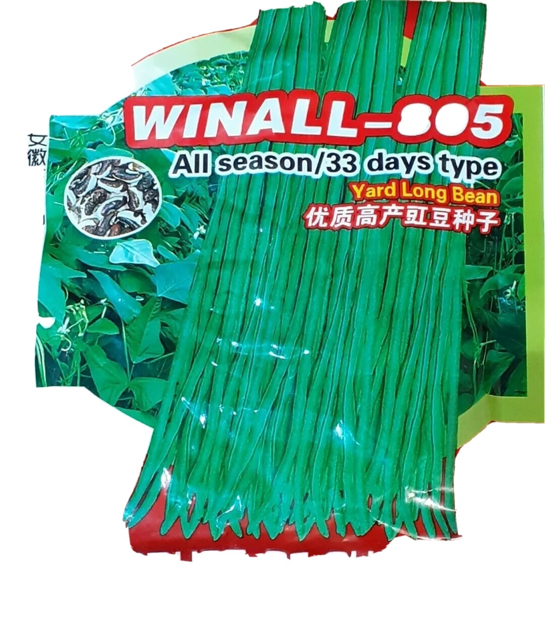 Yard Long Bean - Early type Chinese Snake Asparagus Lubi Uri Vegetable ...