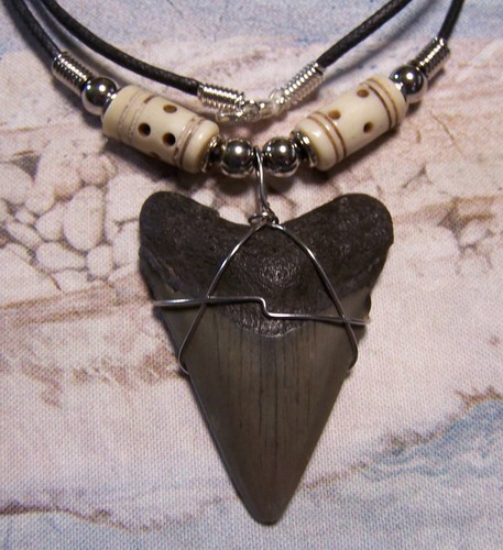 MEGALODON SHARK TOOTH NECKLACE 1 3/4" SHARKS TEETH LARGE REAL FOSSIL ...