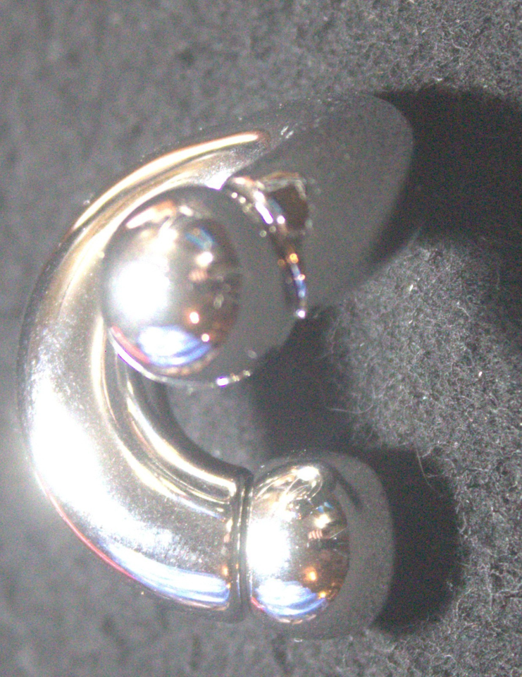 One 00g 1/2 Twister 316L SS Internally Threaded Prince Albert Extend ...