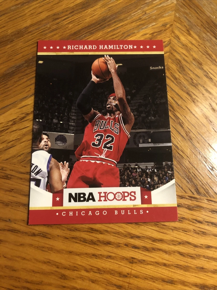 Richard Hamilton Bulls