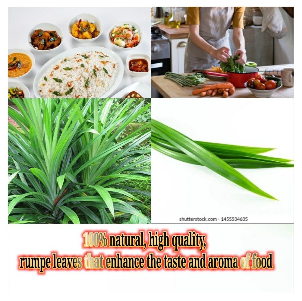 100% natural high quality rumpe leaves that enhance the taste and aroma ...