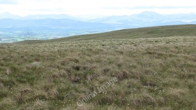 Photo 6x4 Ochil mossland Bengengie Hill Rougher than usual terrain ...