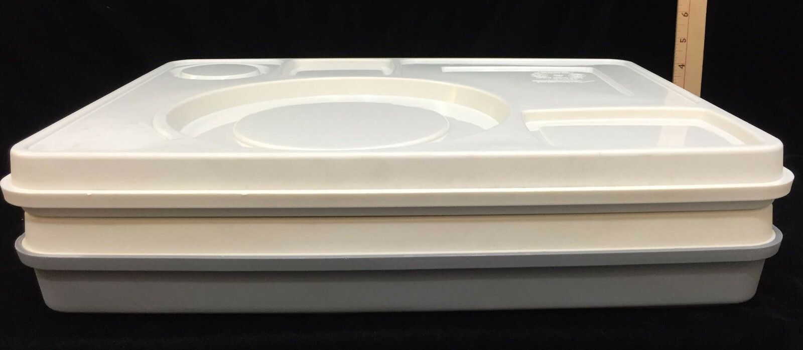 Aladdin Temp Rite Meal System Century II Stay Cool Serving for Invalid ...