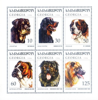 Fauna. Dog 1998. | eBay
