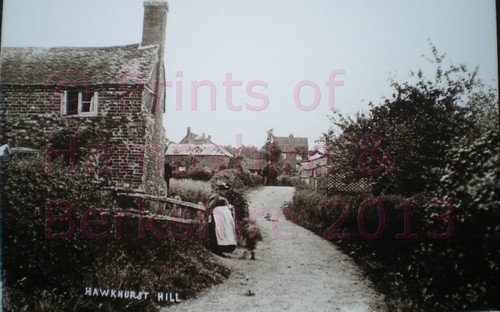 PRINT 10" X 7" HAWKHURST HILL BAUGHURST HAMPSHIRE c1908 | eBay