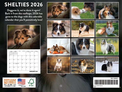 Sheltie Calendar 2026 Shetland Sheepdogs Monthly Wall Calender | eBay