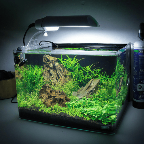 Dennerle Nano Tank - 35 Litres - Aquascaping Aquarium - 40 x 32 x 28 cm ...