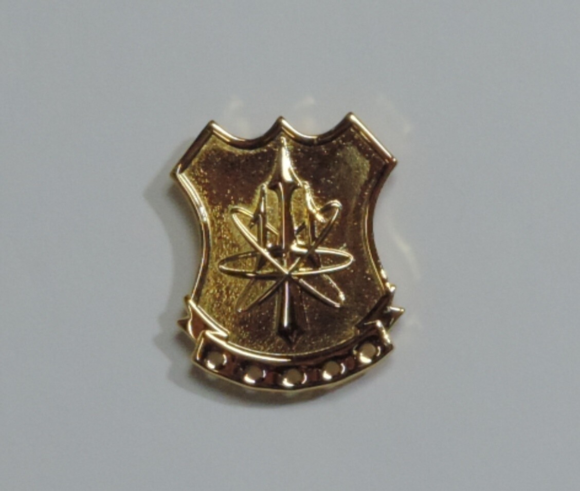 U.S Navy Officer and Enlisted Nuclear Weapons Security Badge ...