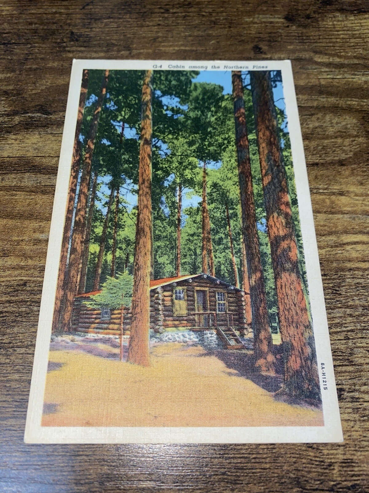 Vintage 1930’s-40’s Linen Postcard Cabin Among The Northern Pines | eBay