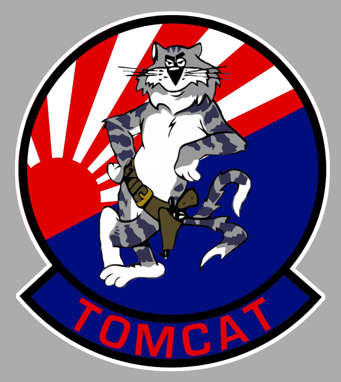 GRUMMAN TOMCAT F14 BADGE BLASON SUNDOWNERS SQUADRON 10cm AVION STICKER ...