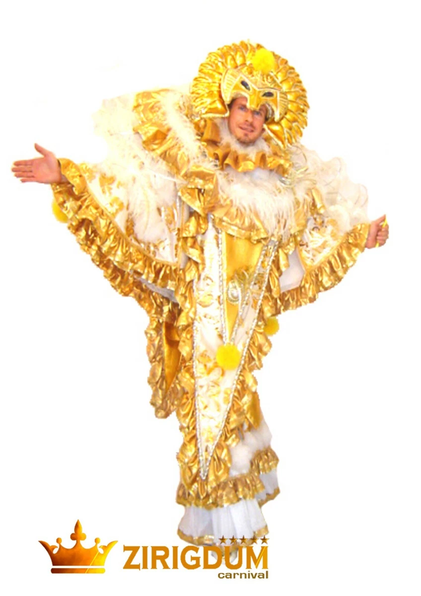 Men Peacock Costume