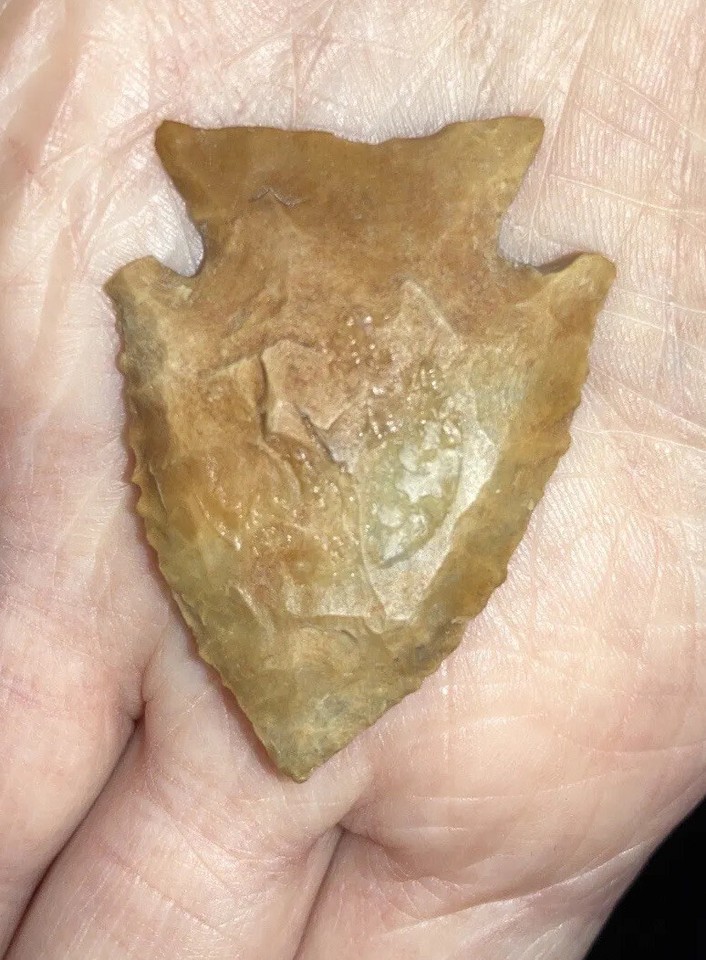 authentic arrowheads pre 1600 Colorful Serrated Carter Cave Stilwell Point | eBay