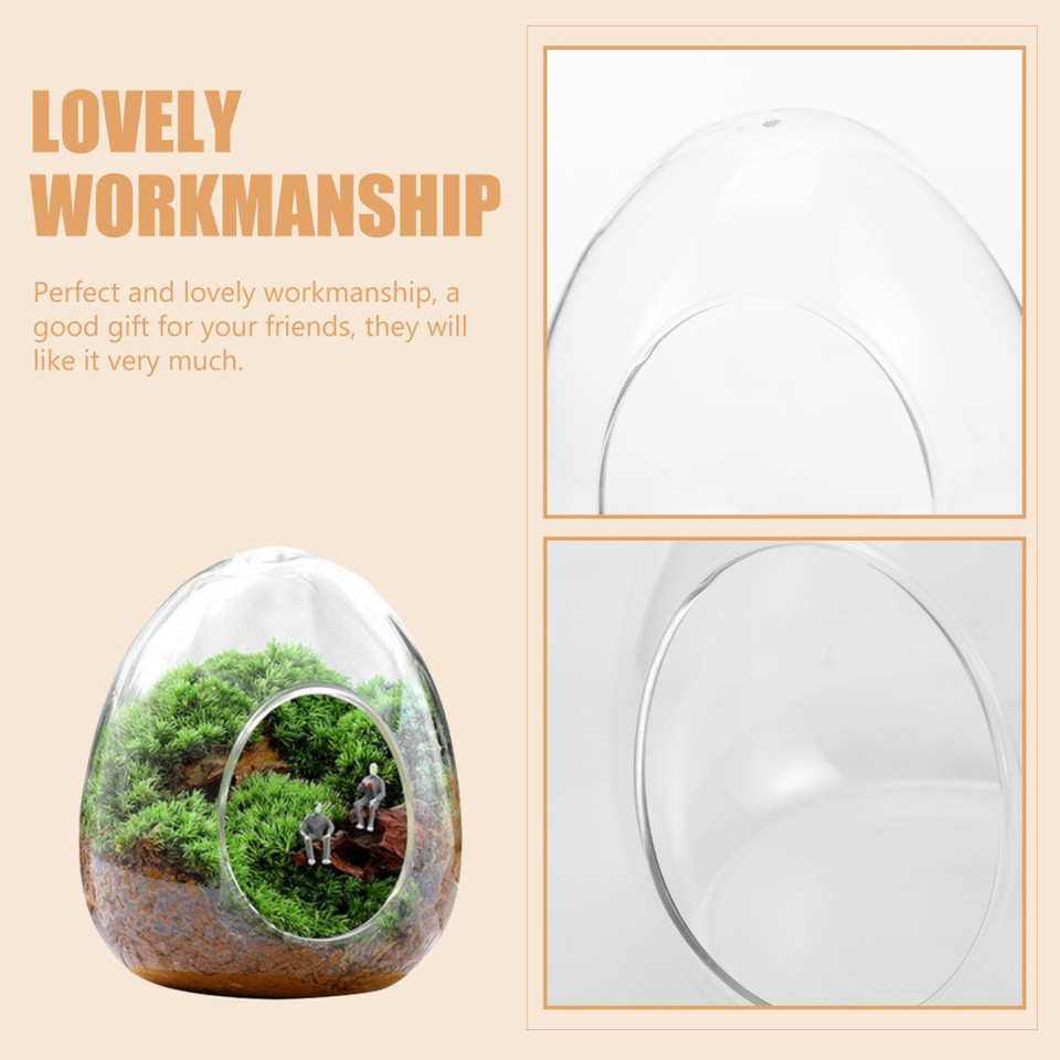 Hanging Planter Aquarium Tank Micro Landscape Glass Bottle Display | eBay