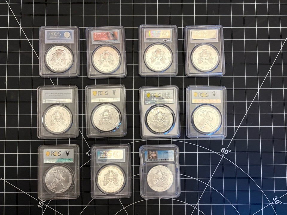 Silver Eagle Lot Ten (10) PCGS Graded Coins Plus Bonus ICG Graded Coin ...
