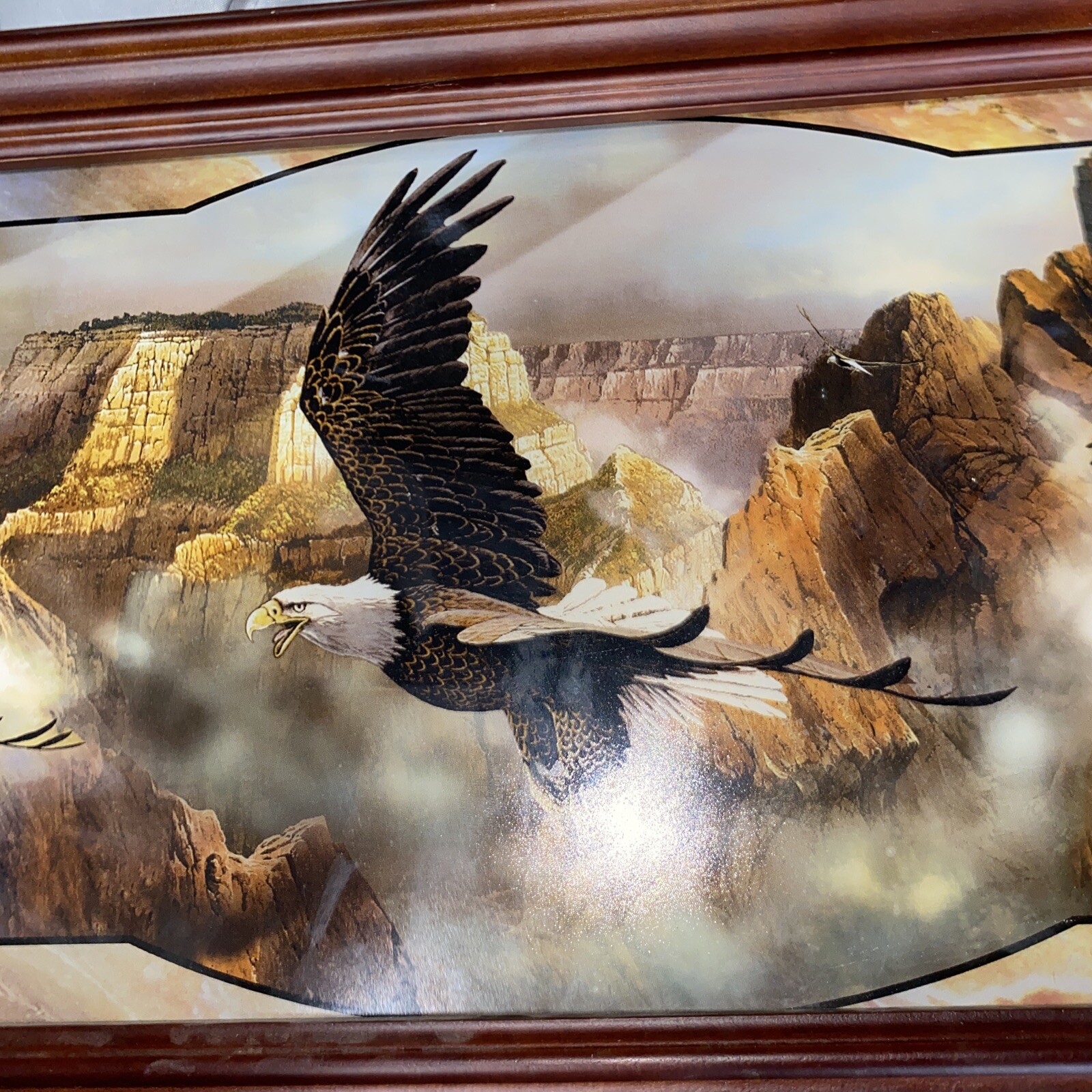 Artist Ted Blaylock "Save The Eagle" Fine Art Print 2005 Monarchs Of ...