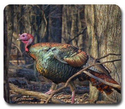 WILD TURKEY TOM FOREST ~ Mousepad / Mouse Pad ~ Gift for HUNTER Hunting ...