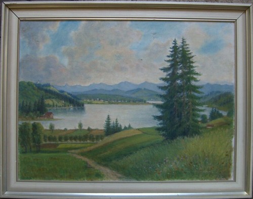 ::ÖLGEMÄLDE BLICK AUF SEE VOR HÜGELLANDSCHAFT TANNEN WIESE VON ADRIAN ...