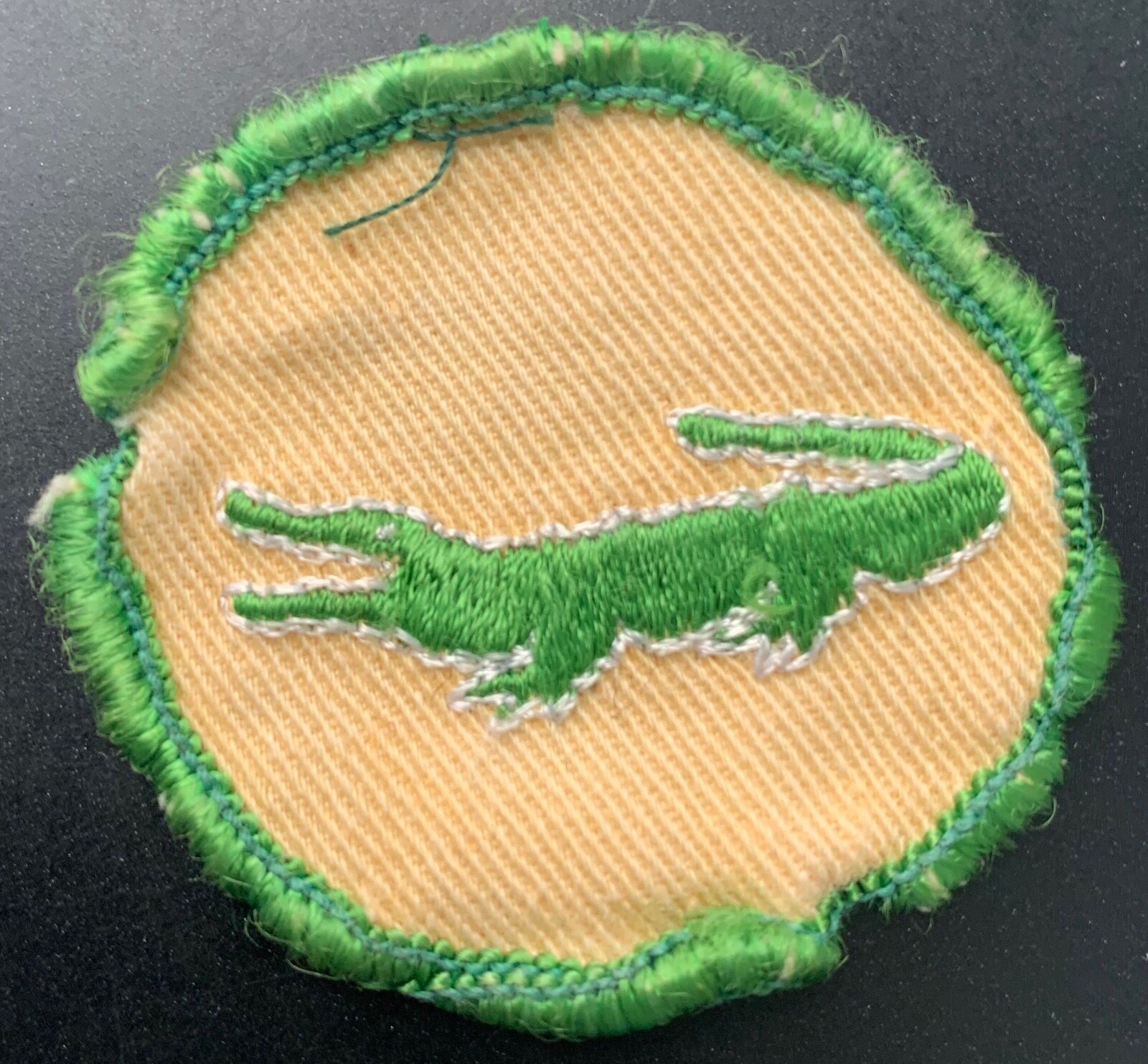 Alligator Patrol BSA Patch | eBay