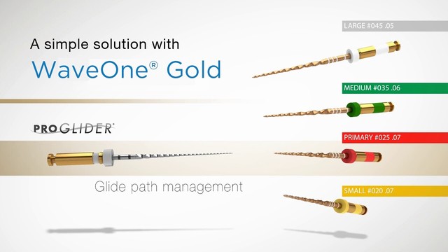 Waveone Gold Wave One Large 31 mm Endodontic File Root Canal Dentsply ...