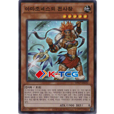 Yugioh Card "Amazoness Warrior Chief" DP27-KR032 Korean Ver Super Rare ...