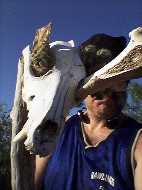 Native American Archaic Effigy Stone Animal Head Artifact | eBay