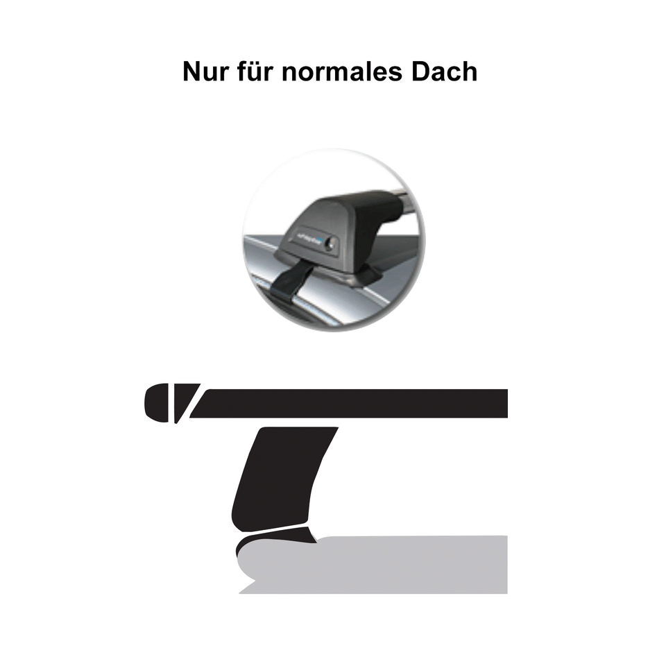 Dachbox Thule Vector L + Dachträger Thule für Porsche Panamera Typ 971 ...