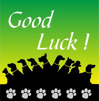 new dog good luck card dogs breed show puppy showing birthday ...