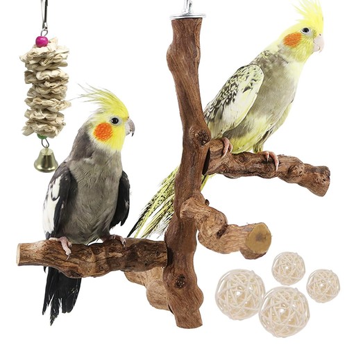 6 PCS Natural Bird Perch Set with Chewing Toys for Parrots, Conures ...