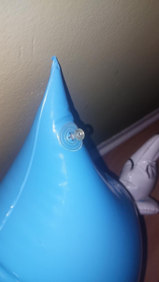 WET WILLY / WORLD INDUSTRIES INFLATABLE 22"X24" | eBay