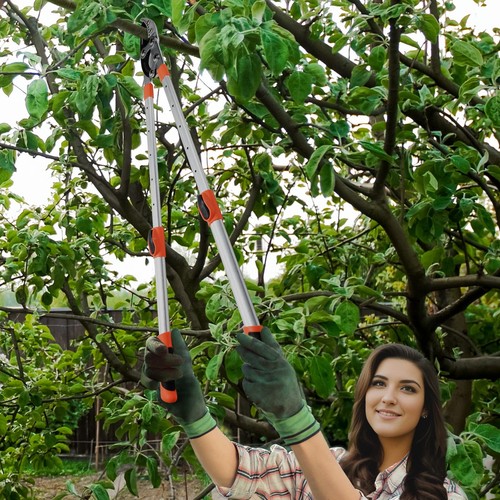 B1102 Extendable Anvil Loppers Tree Trimmer with Compound Action,Chops Thick Bra | eBay
